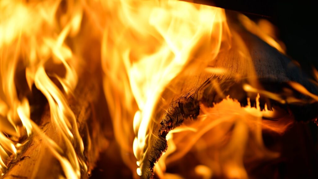 Fire Revival - 43Culture